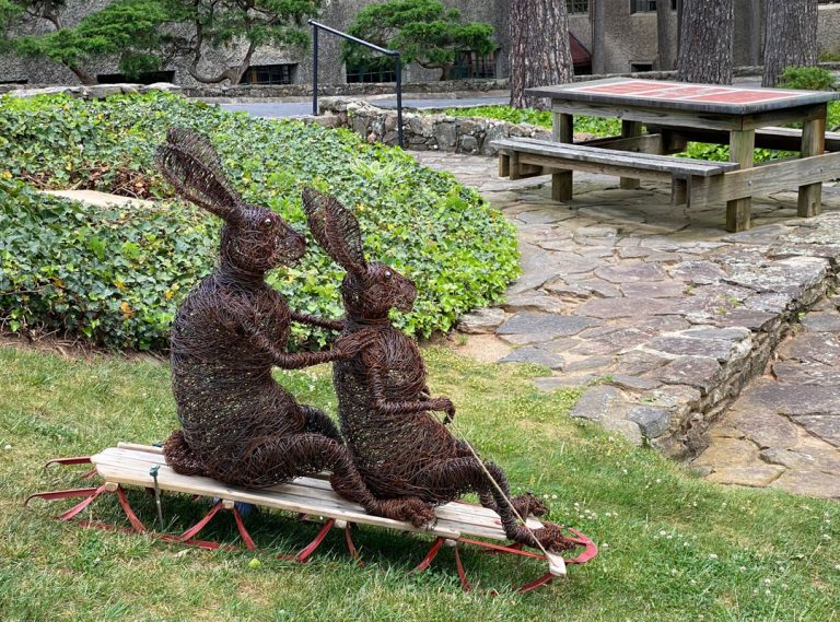 From the Studio: Artist Josh Coté | Grovewood Gallery